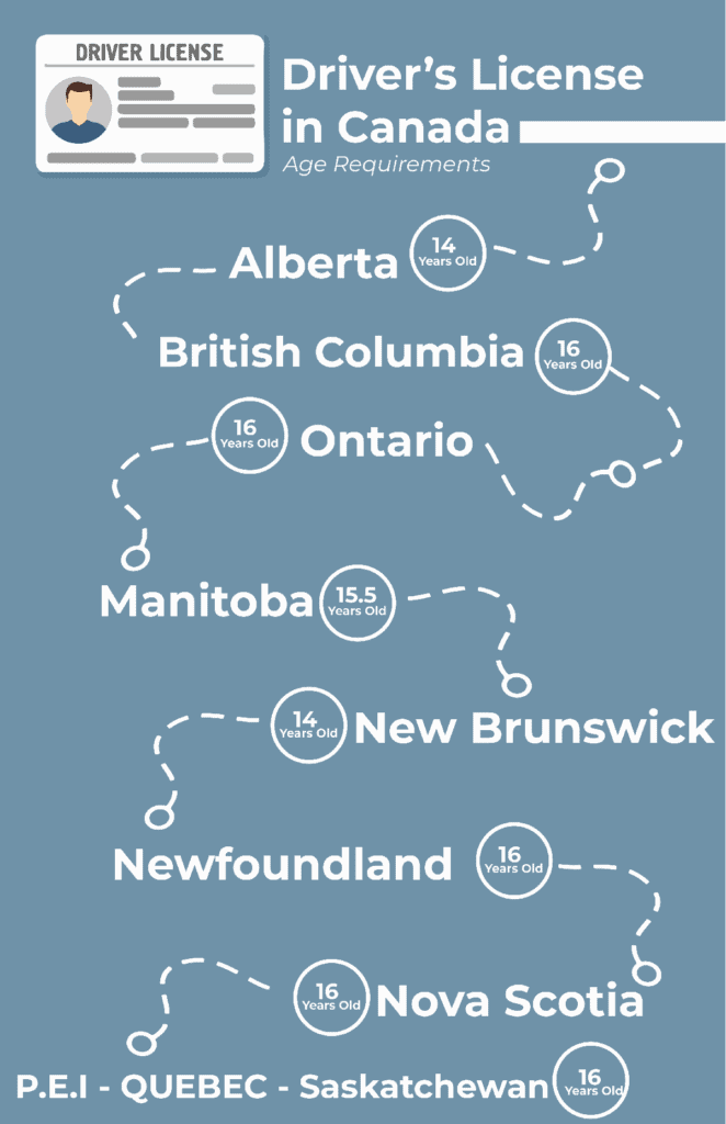 How to Get A Driver License in Canada: Beginner's Guide - Insurdinary