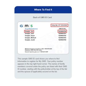GMS Insurance: Registration and Login Guide - Insurdinary