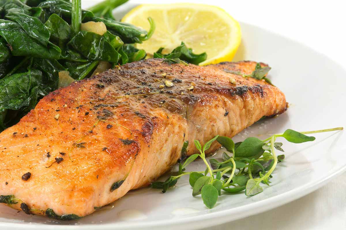 13 Appetizing High Protein Foods For Your Palate Insurdinary 13-appetizing-high-protein-foods-for-your-palate-insurdinary